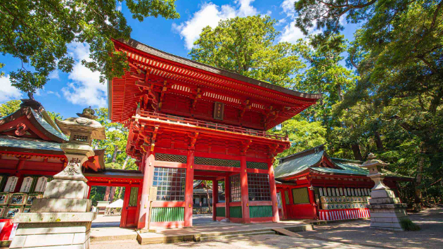 非合理性が生む行動の法則｜mirai_finder｜coconalaブログ